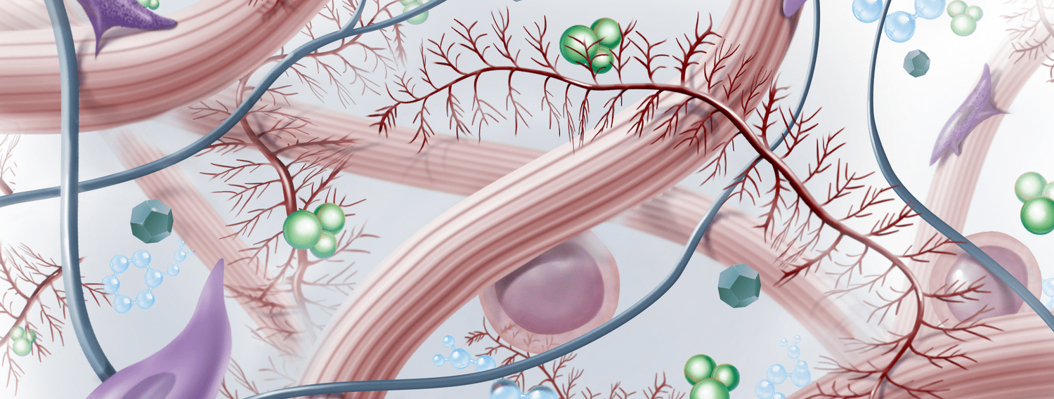 Connective Tissue Matrix - Semper Fi Medical